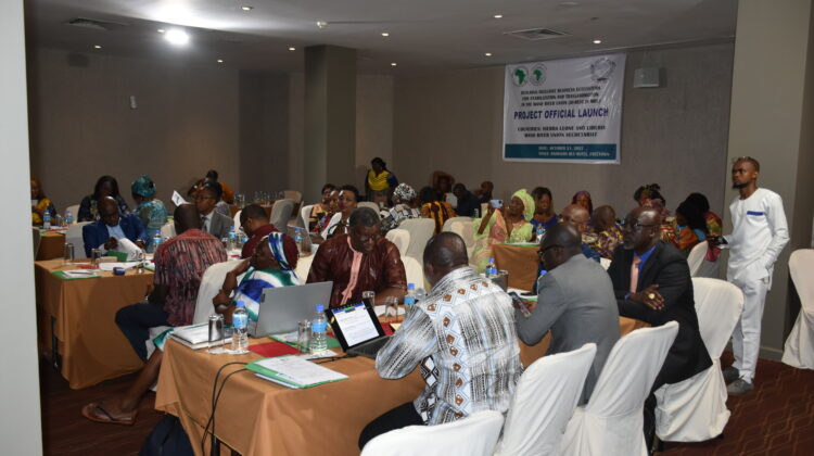 Mano River Union launches scheme to build inclusive business ecosystems ...